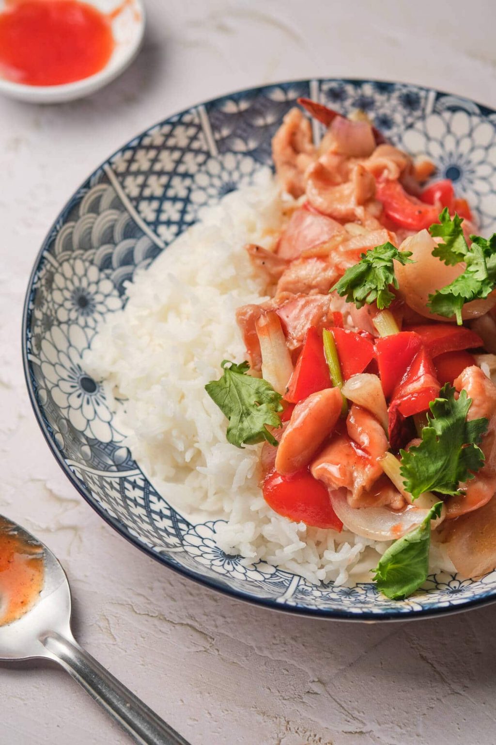 Quick Sha Cha Chicken