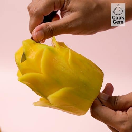 Simple Mango On A Stick