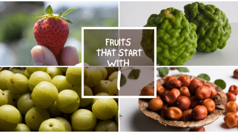 All The Fruits That Start With I