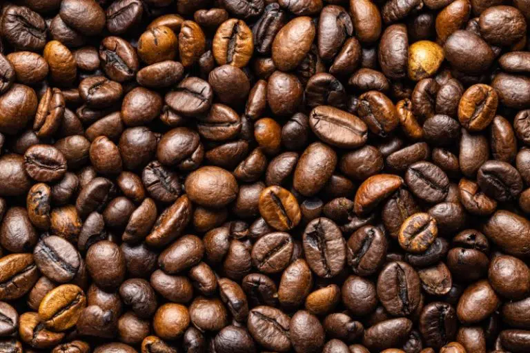 Arabica Vs. Robusta Coffee: What's the Difference?