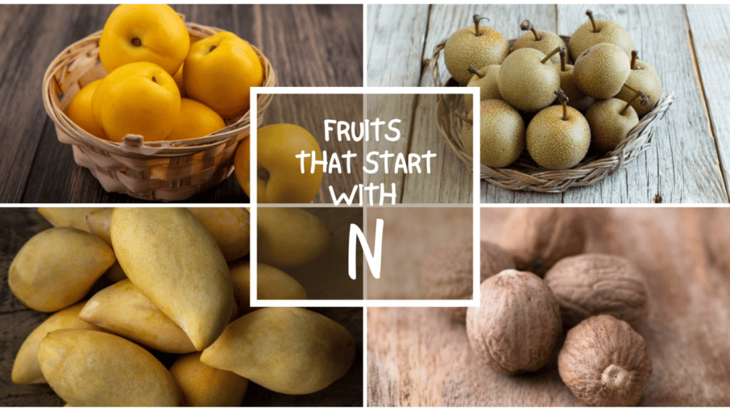 All The Fruits That Start With N