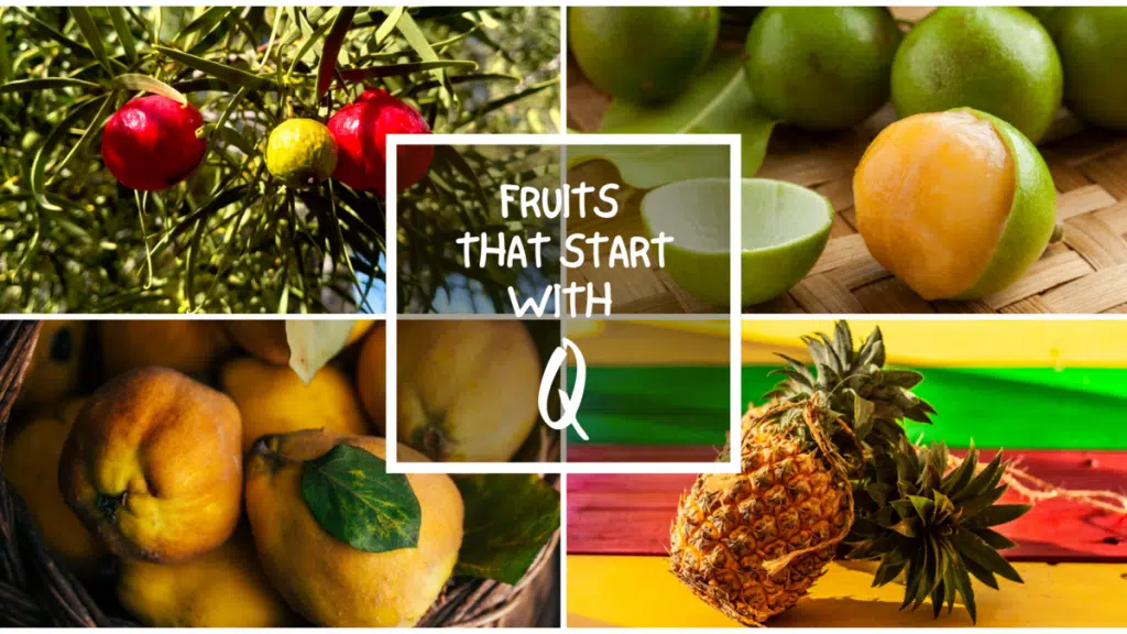 All The Fruits That Start With Q