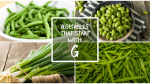 All The Vegetables That Start With G