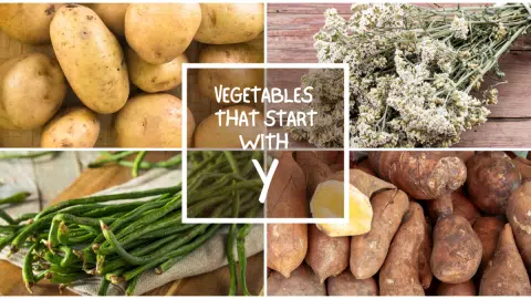 All The Vegetables That Start With J