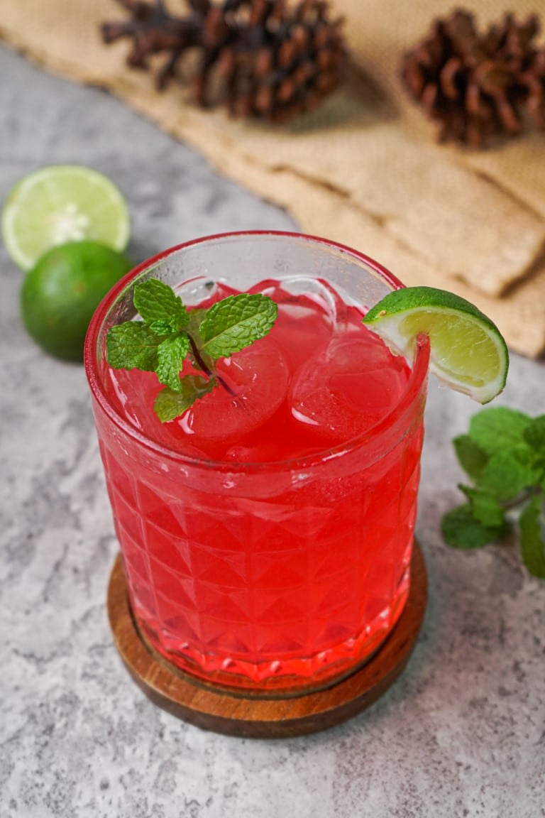 Homemade Hibiscus Moscow Mule (Ginger Beer Cocktail)