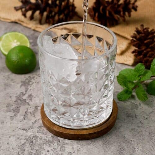 Homemade Hibiscus Moscow Mule (Ginger Beer Cocktail)