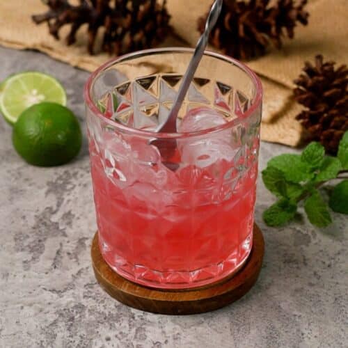 Homemade Hibiscus Moscow Mule (Ginger Beer Cocktail)