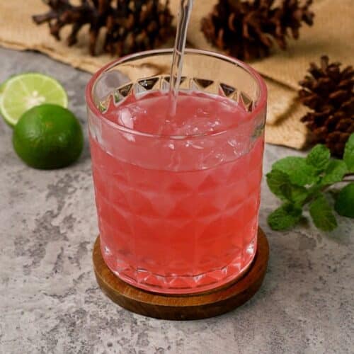 Homemade Hibiscus Moscow Mule (Ginger Beer Cocktail)